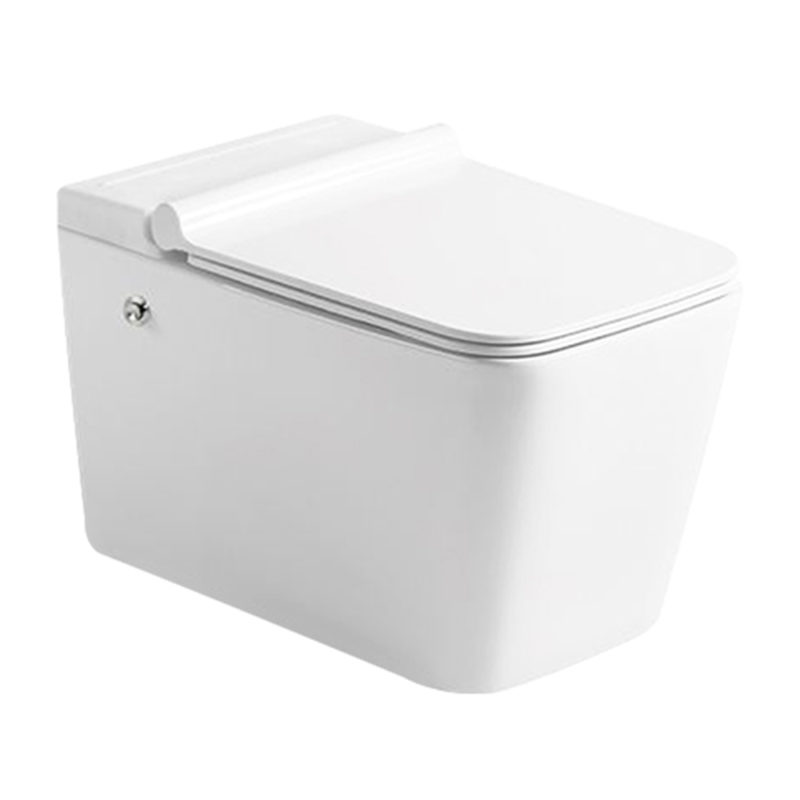 Tankless S2 Wall Mounted EWC Square Sanitary House tankless-s2-wall-mounted-ewc-square-sanitary-house